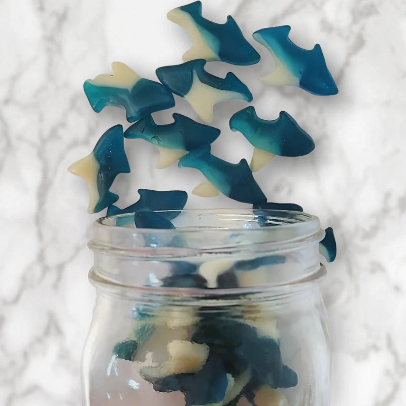 Gummy Sharks – Thistle Creek Mercantile